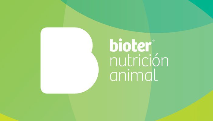 Necesidades nutricionales de los cerdos – bioter