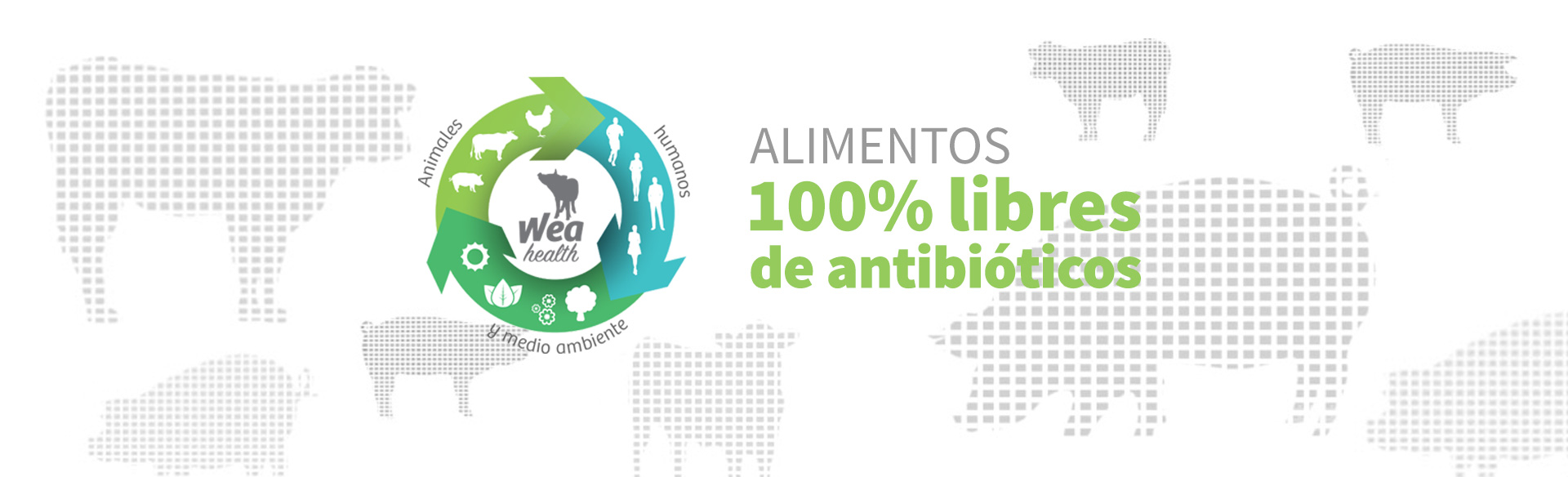 bioter – bioter nutrición animal